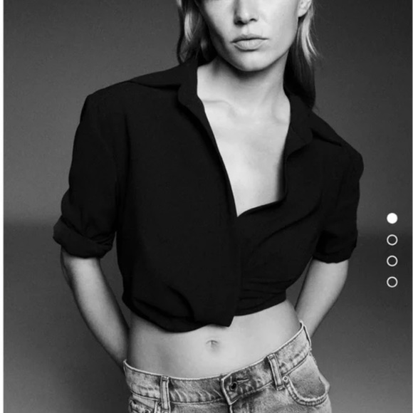 Zara | Tops | Zara Pleated Crop Top | Poshmark